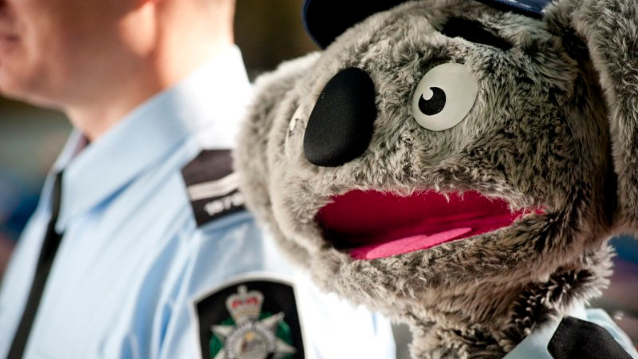 Kenny Koala among Canberra Gold Award recipients - Our Canberra
